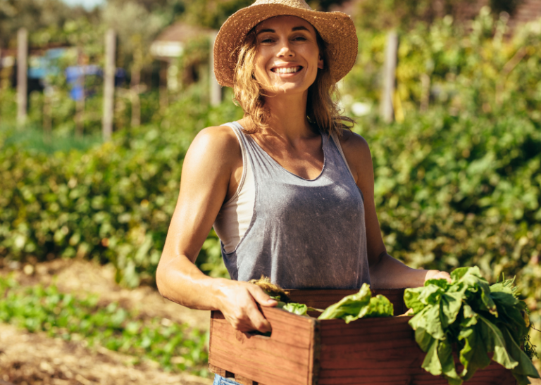 Beginners Guide to Vegetable Planting in Western Australia - Home and ...
